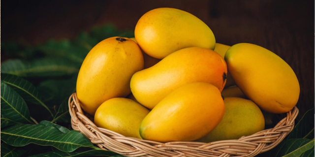 The World is Mad for Mango – vomFASS Madison University Avenue